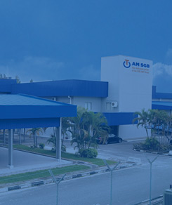 SGB-SMIT Group - Transformatorenhersteller - Übersicht